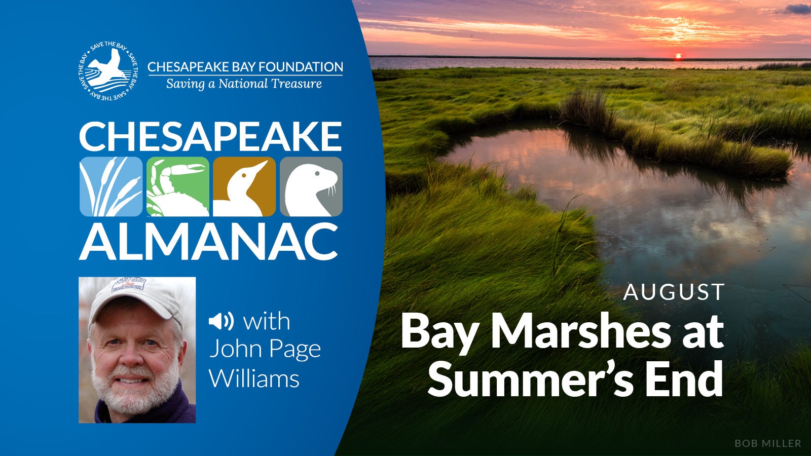 August: Bay Marshes at Summer's End • Chesapeake Bay Foundation