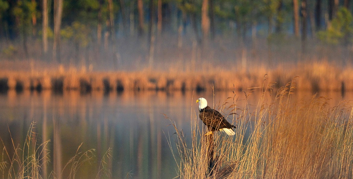 Statement on the Passing of Delegate Barry Knight • Chesapeake Bay ...