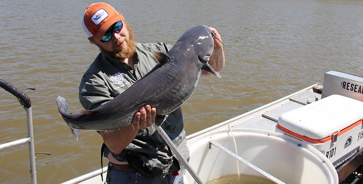 Virginia Lawmakers Target Invasive Blue Catfish • Chesapeake Bay Foundation