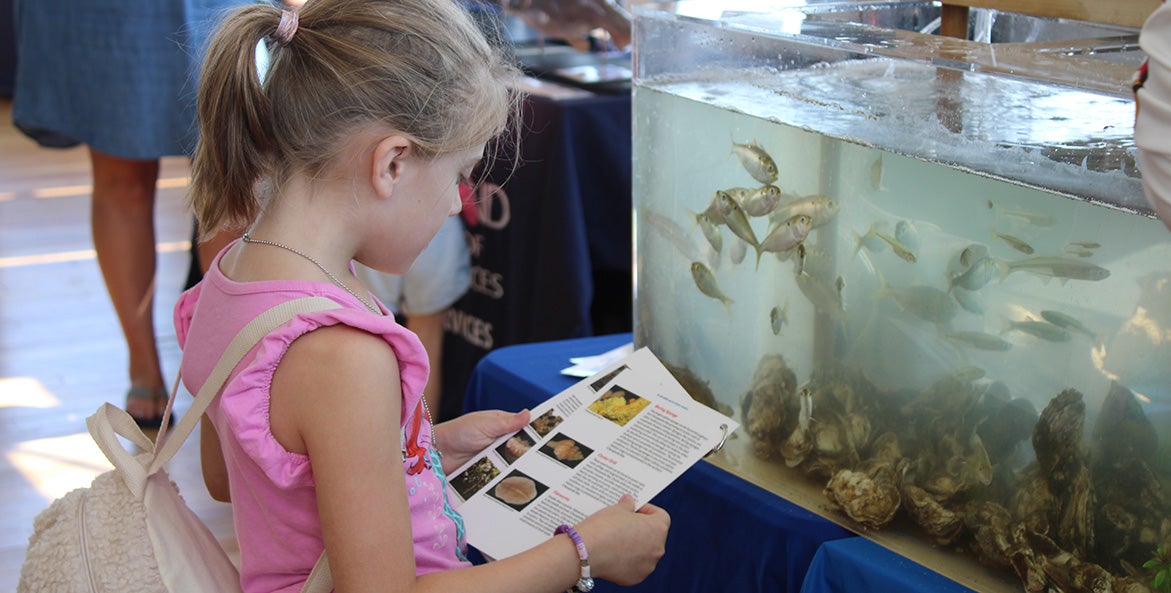 2024 Maryland Rod & Reef Slam Winners Announced • Chesapeake Bay Foundation