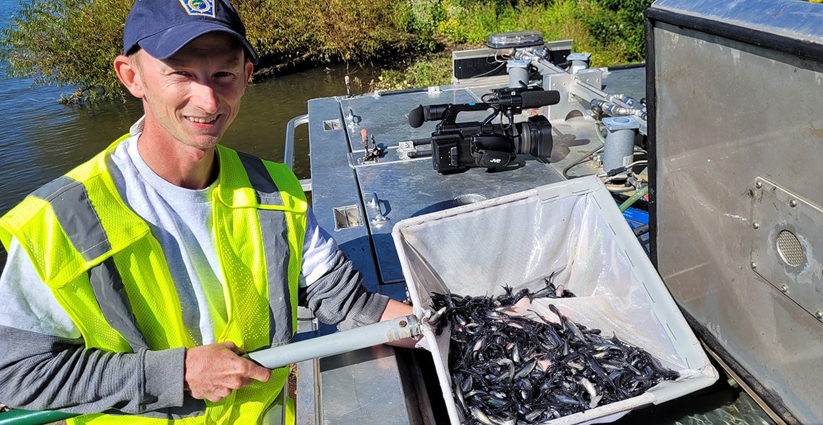Blue Catfish Conundrum • Chesapeake Bay Foundation