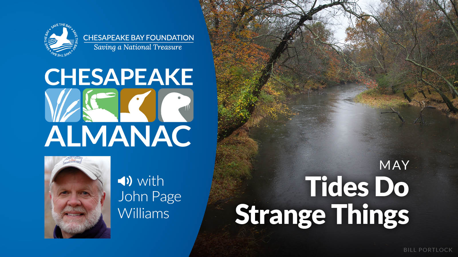 May: Tides Do Strange Things • Chesapeake Bay Foundation