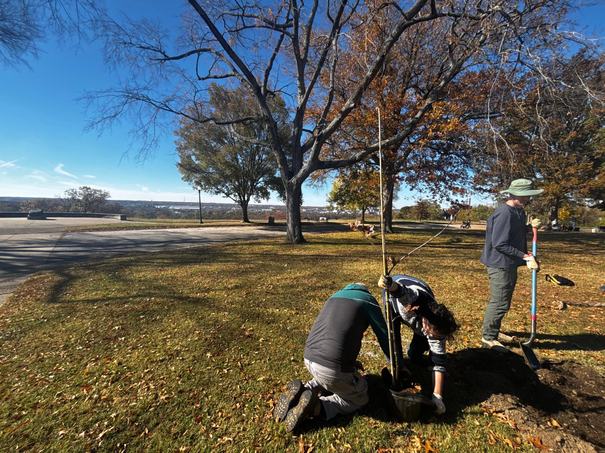 Mayor Avula and Volunteers Plant 46 Trees for Richmond Tree Week ...