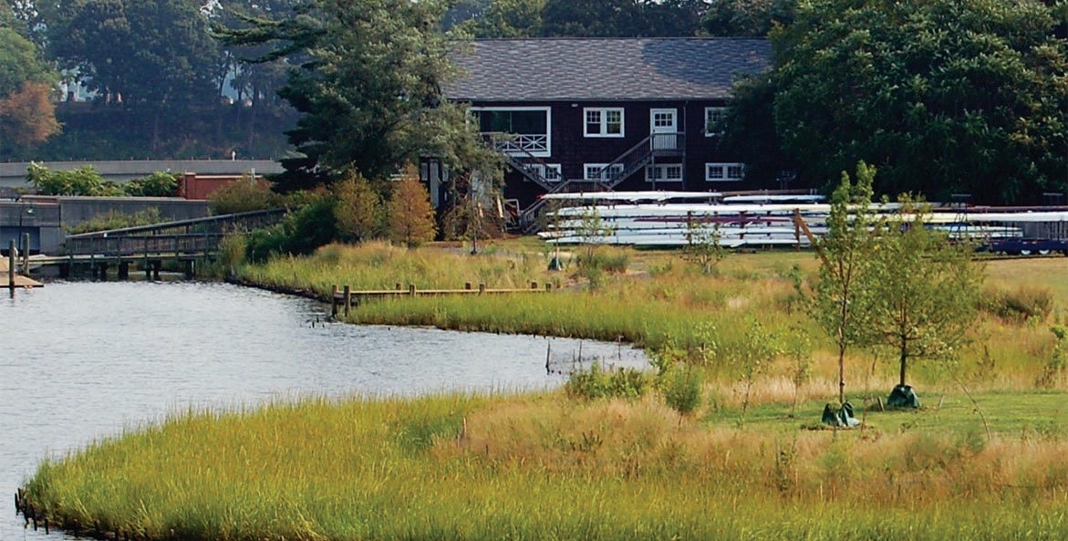 Six Steps to Create Your Living Shoreline in Virginia • Chesapeake Bay ...