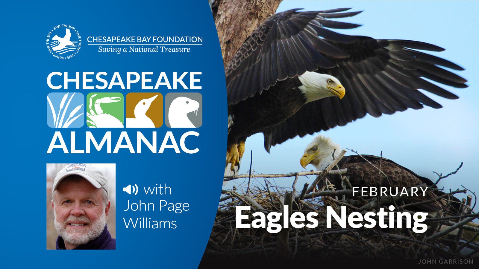 February: Eagles Nesting • Chesapeake Bay Foundation