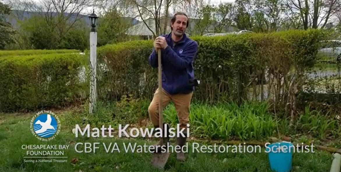 How to Plant a Bare Root Tree Seedling • Chesapeake Bay Foundation