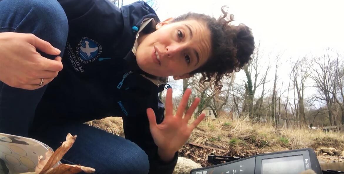 Water Quality Testing • Chesapeake Bay Foundation