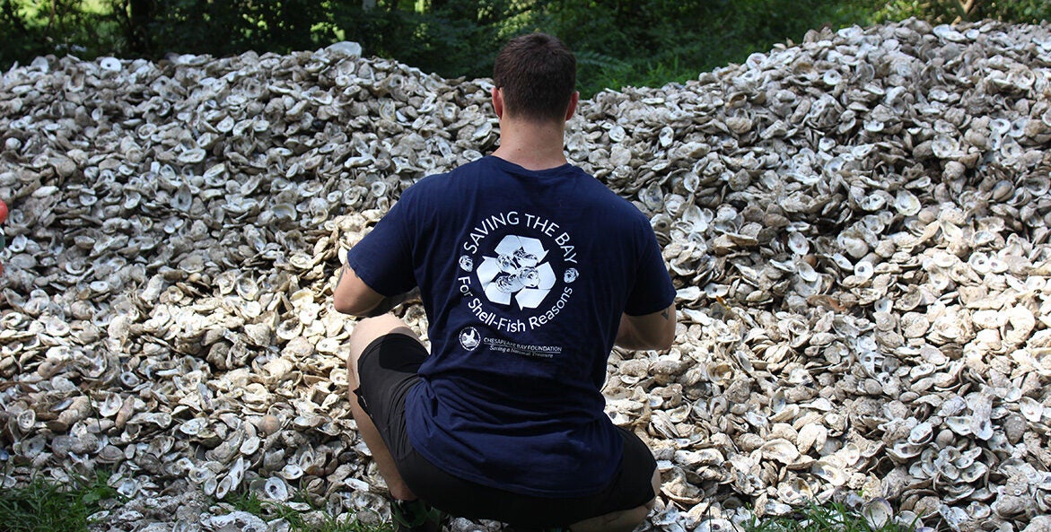Oyster Restoration • Chesapeake Bay Foundation