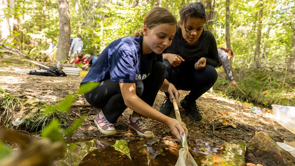 Environmental Education • Chesapeake Bay Foundation