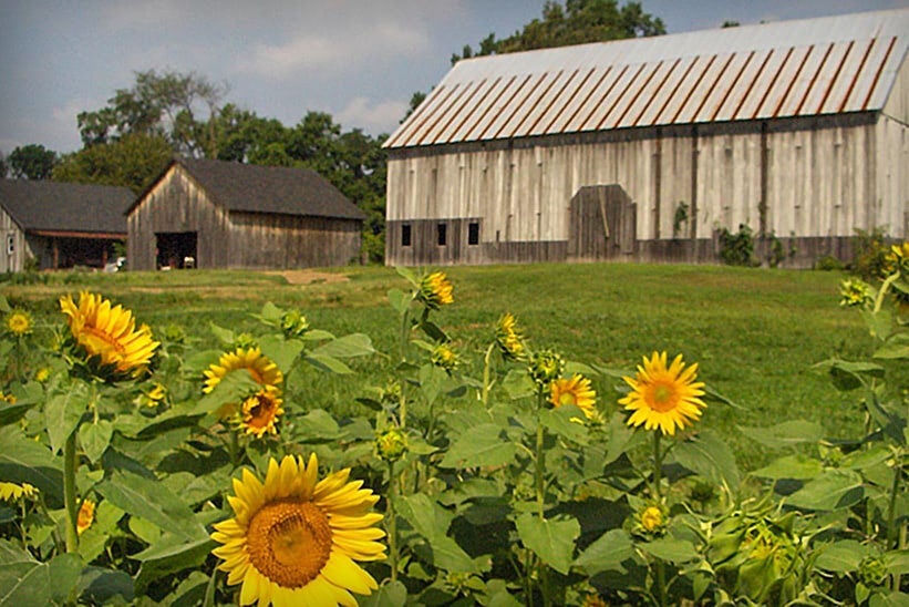 Directions to CBF's Clagett Farm • Chesapeake Bay Foundation