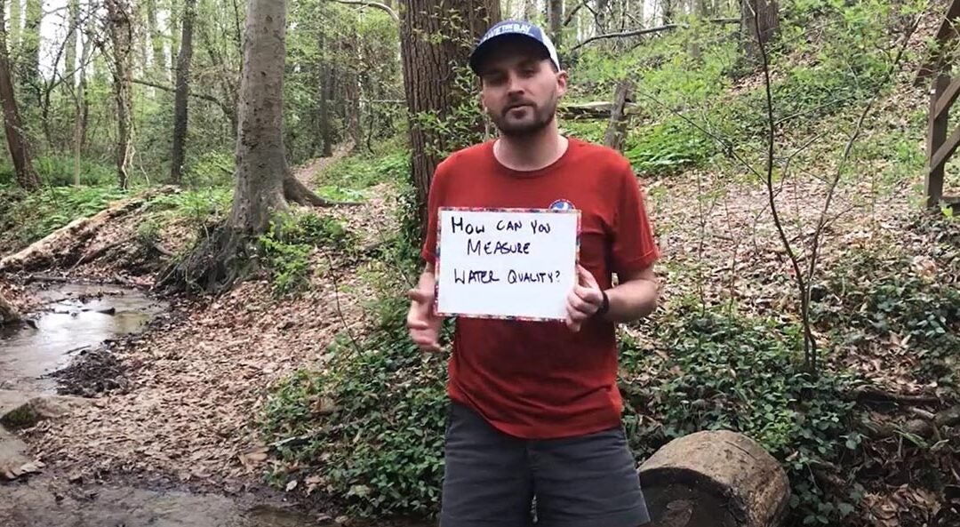 Why Is Water Quality Important? • Chesapeake Bay Foundation